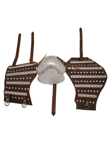 Pareja de Brazos medievales históricos con placas (siglos XIV-XV) ⚔️